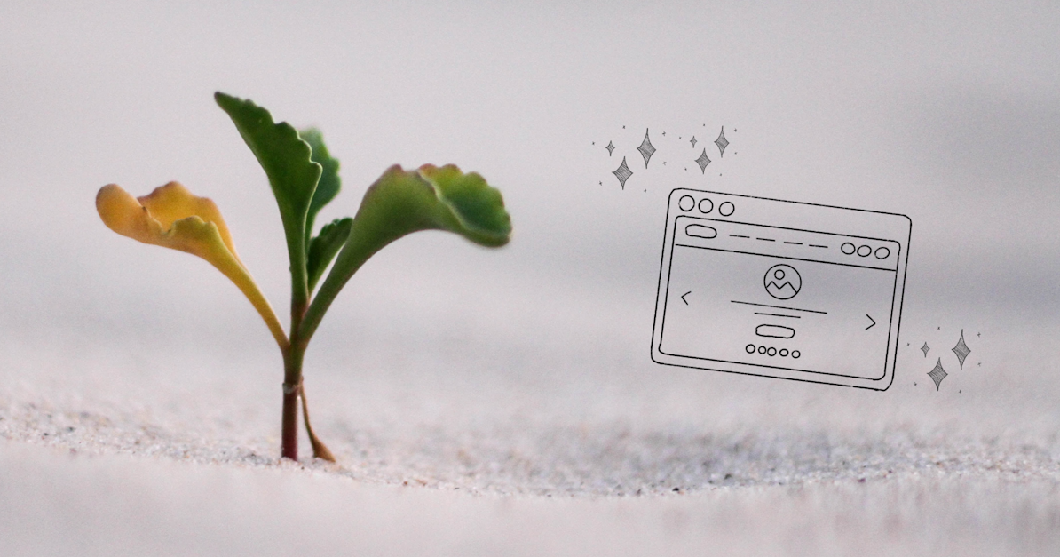 The complete guide to growing your web development agency | CloudCannon